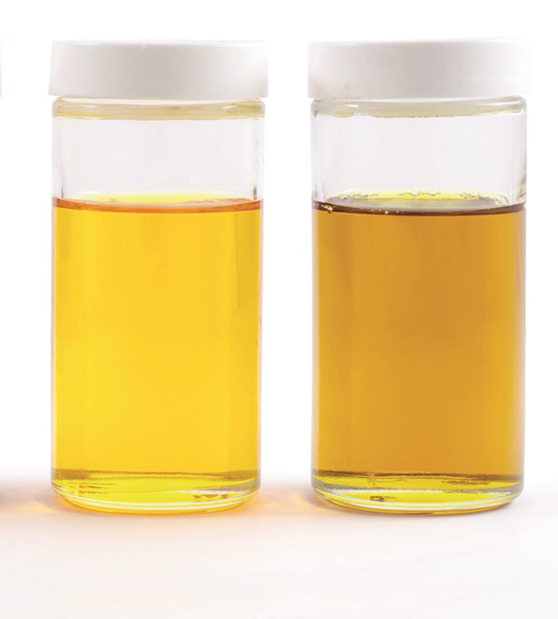 Sojino i maslinovo savršen su par – Maslinar